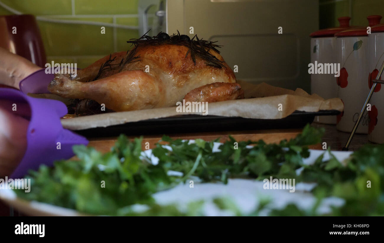 Female Hands Take Out Roasted Whole Chicken on tray From Hot Oven Stock ...