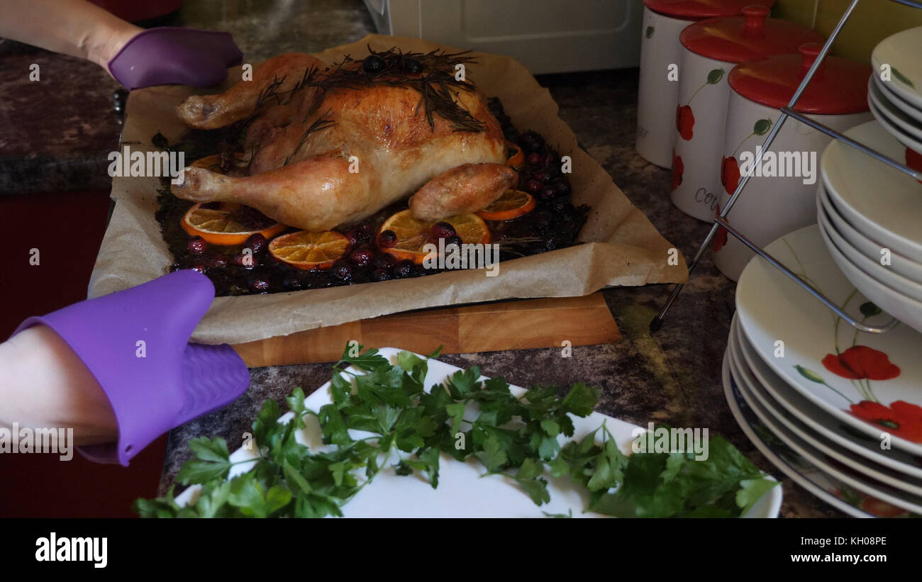Female Hands Take Out Roasted Whole Chicken on tray From Hot Oven Stock ...