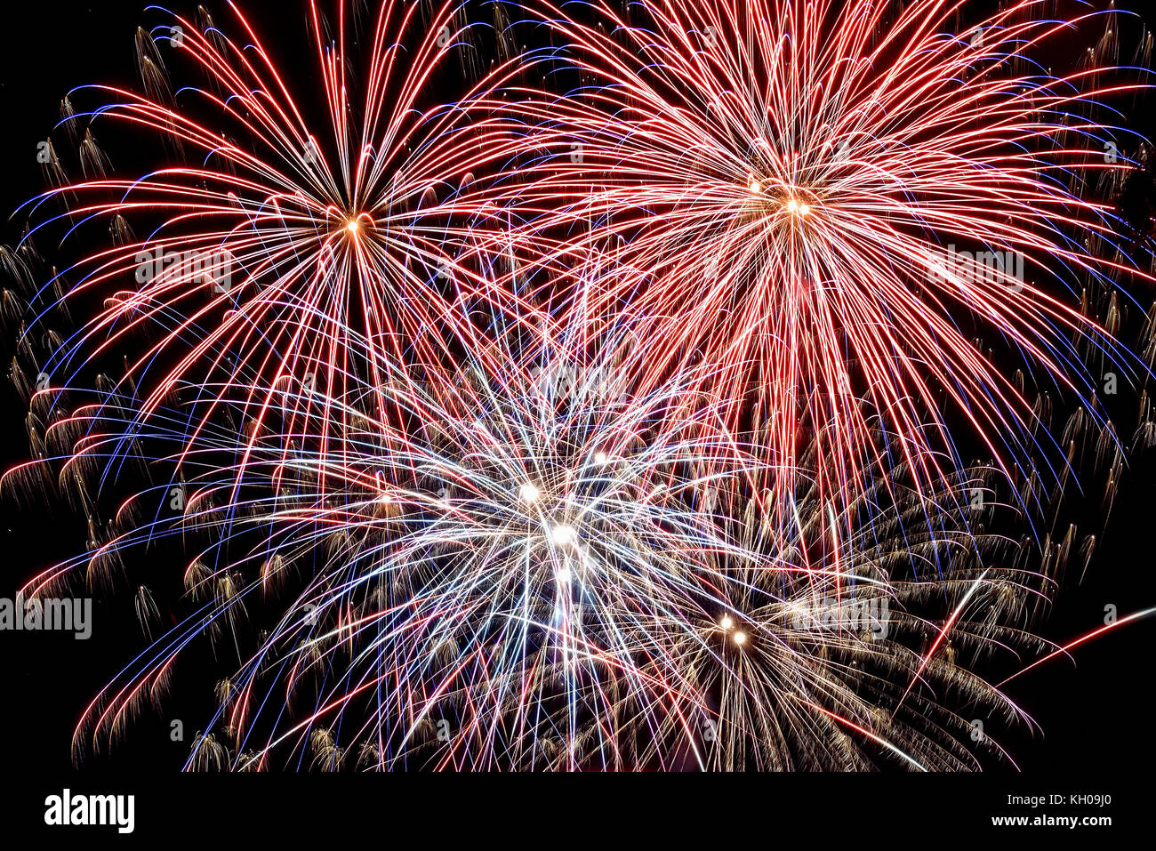 Bright festive background with beautiful colored fireworks, salute on ...