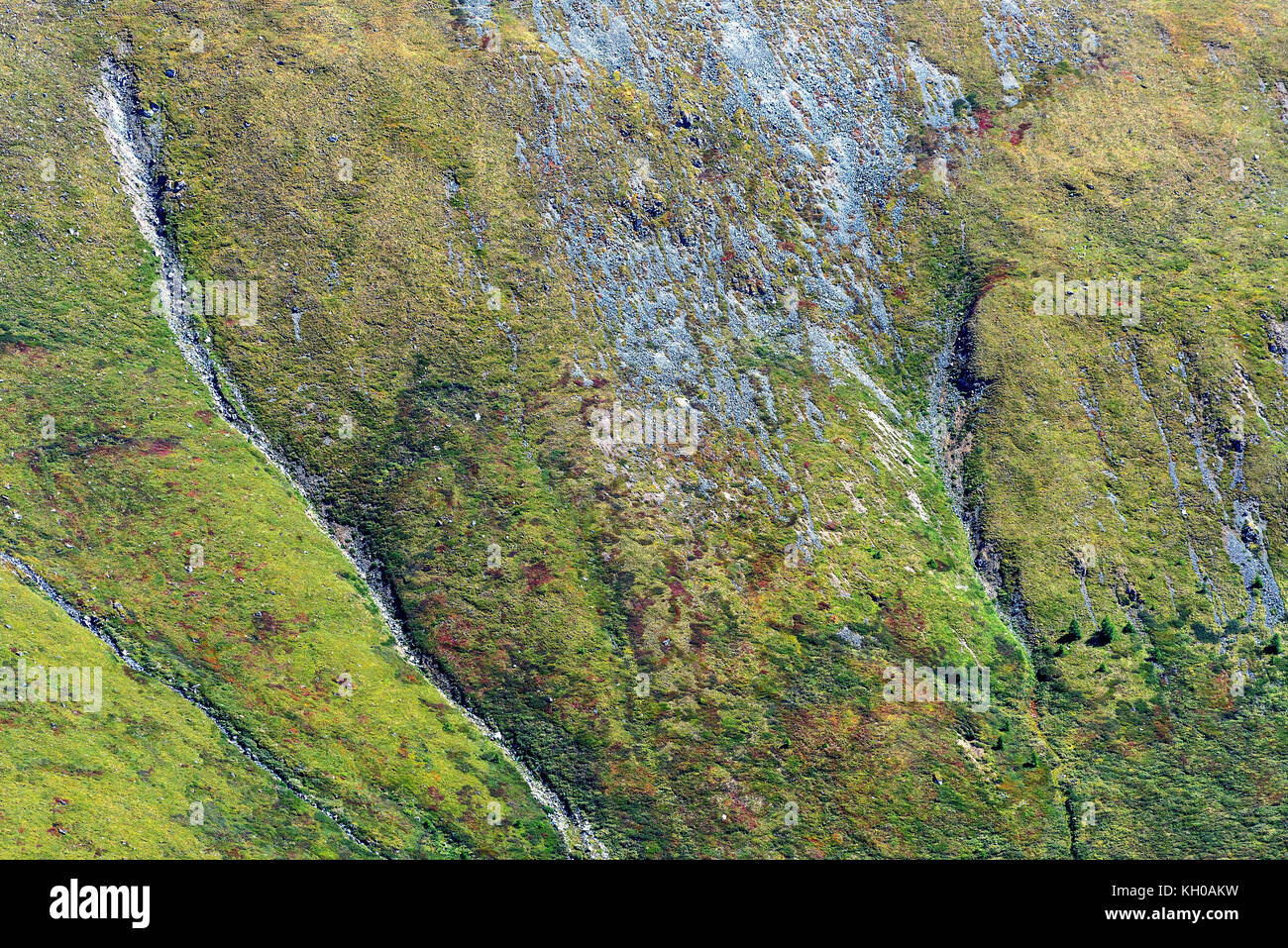 Bright beautiful abstract natural background of the mountain slope with ...