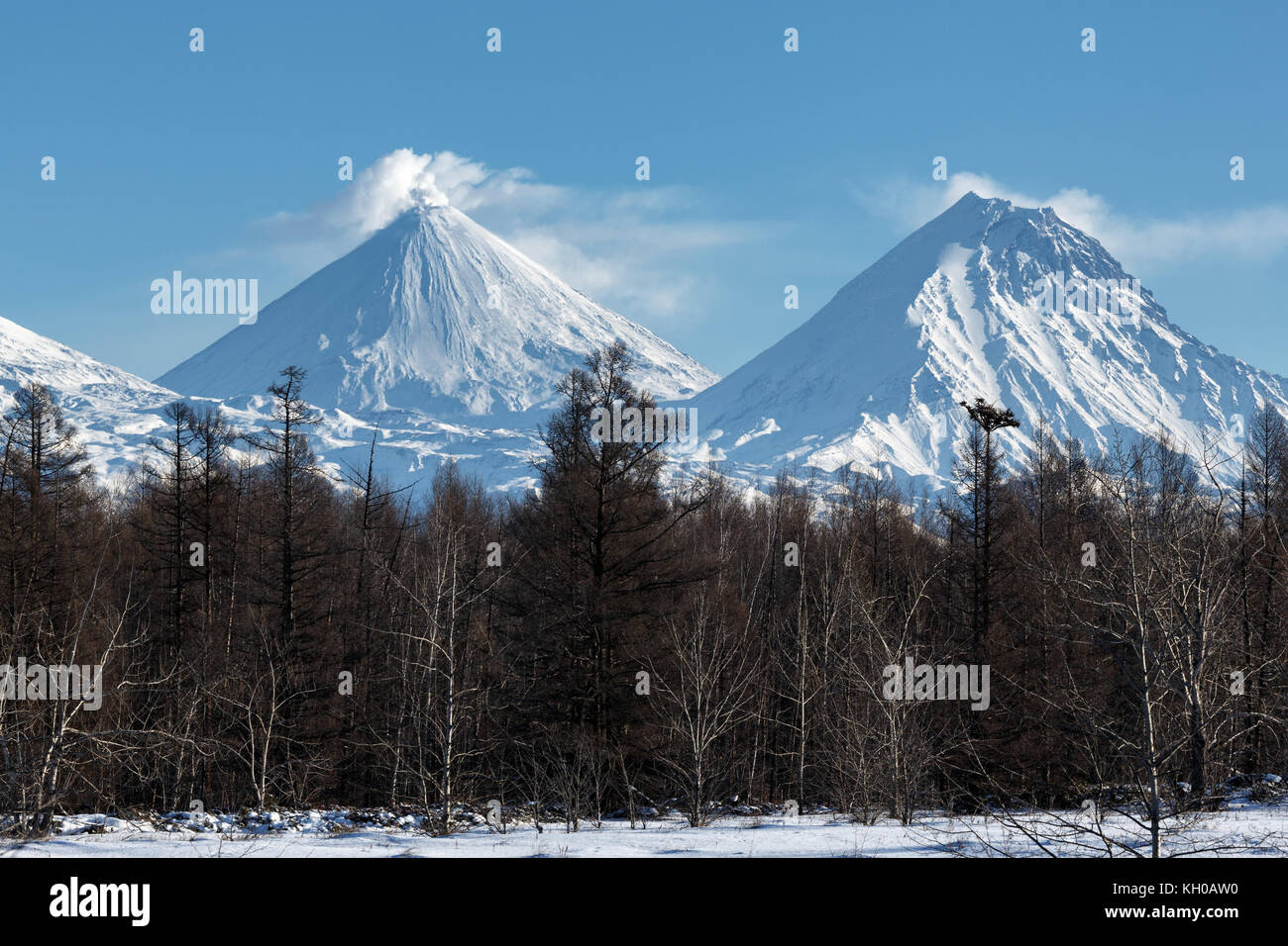 Kamchatka winter volcanic landscape: eruption active Klyuchevskoy ...