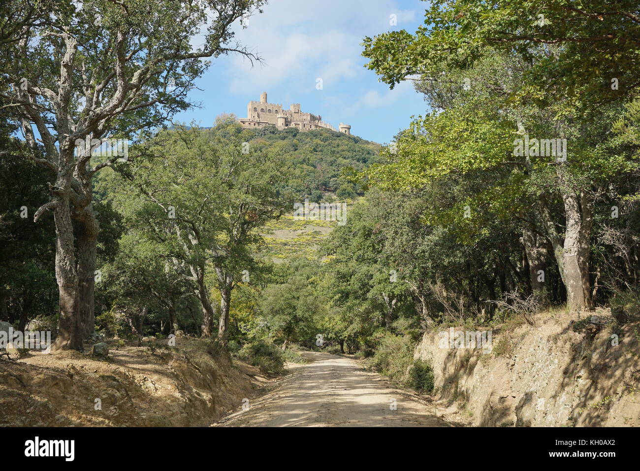 Path through cork oak woods leading to Requesens castle at the top of ...
