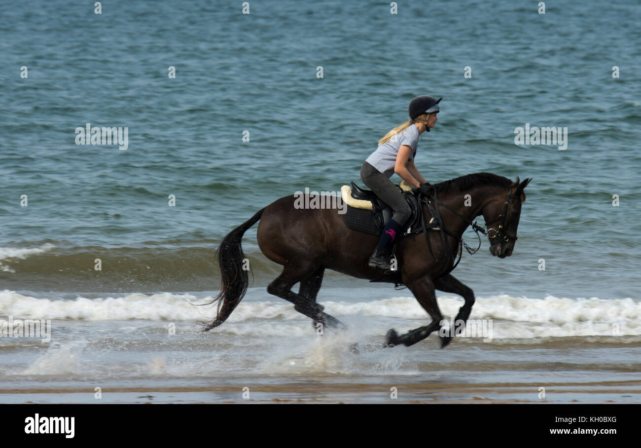Surf rider hi-res stock photography and images - Alamy