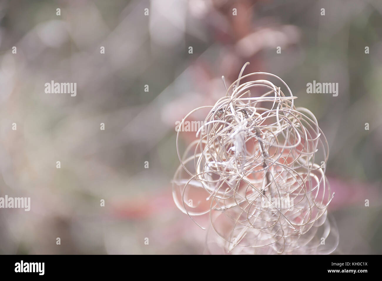 Washed Colors High Resolution Stock Photography and Images - Alamy