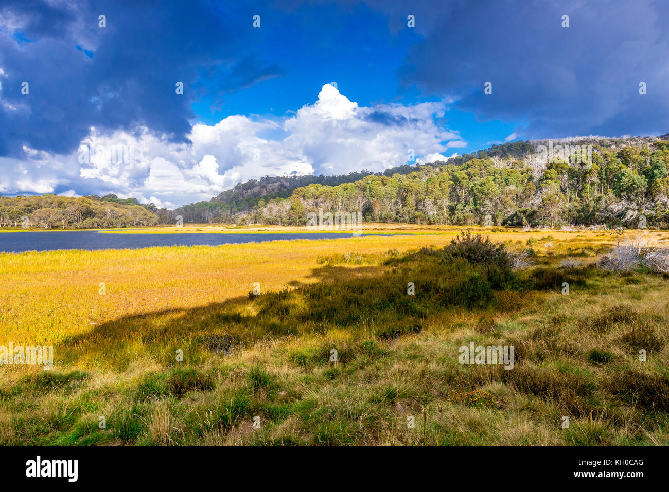 Lake Catania in Mount Buffalo, Victoria, Australia Stock Photo - Alamy