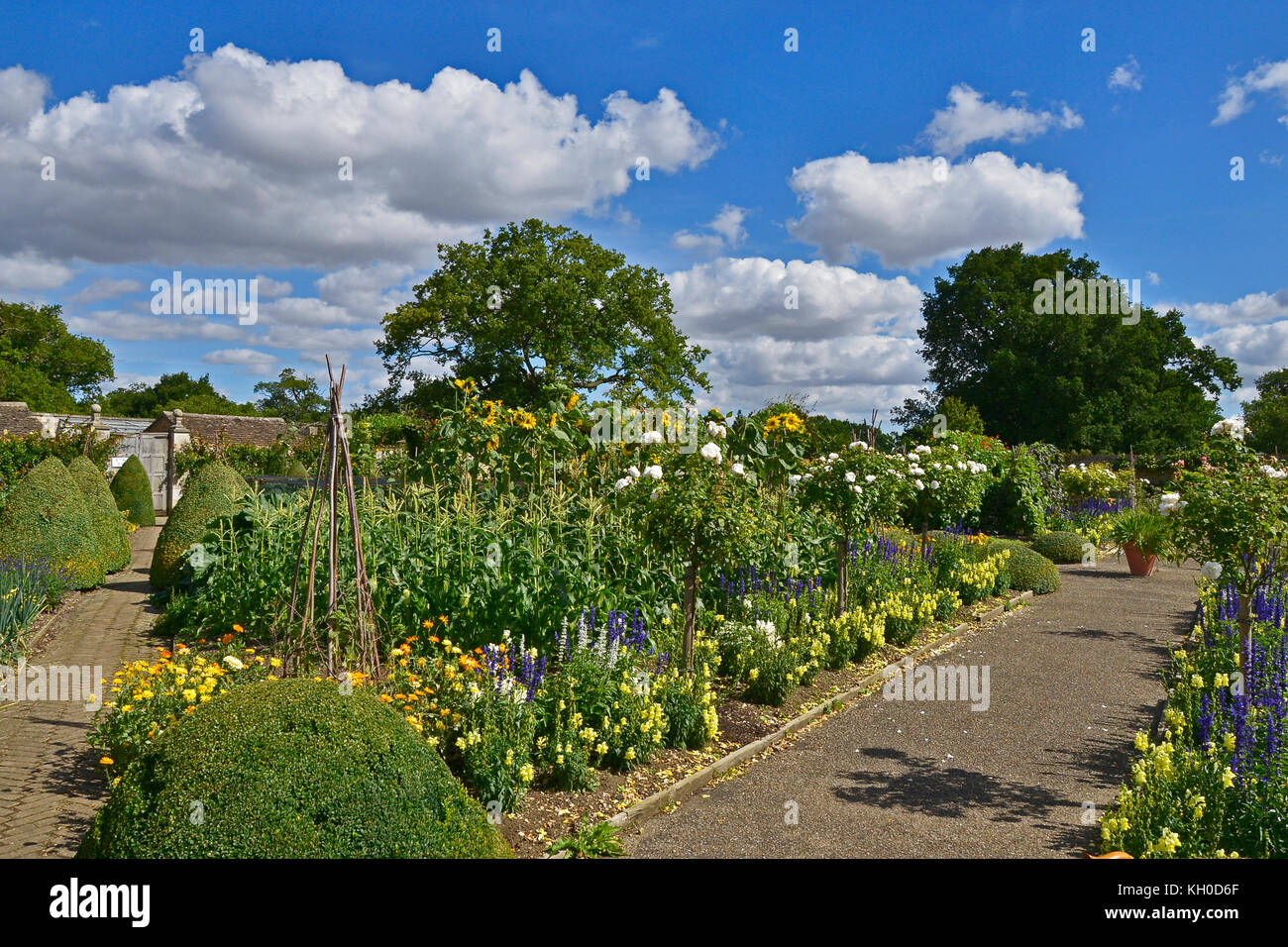 A large vegetable garden with mixed planting of vegetables and flowers ...