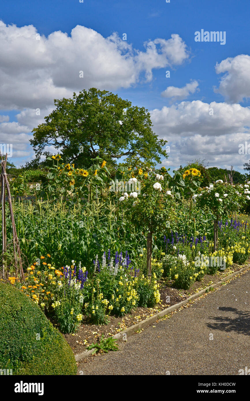 A large vegetable garden with mixed planting of vegetables and flowers ...