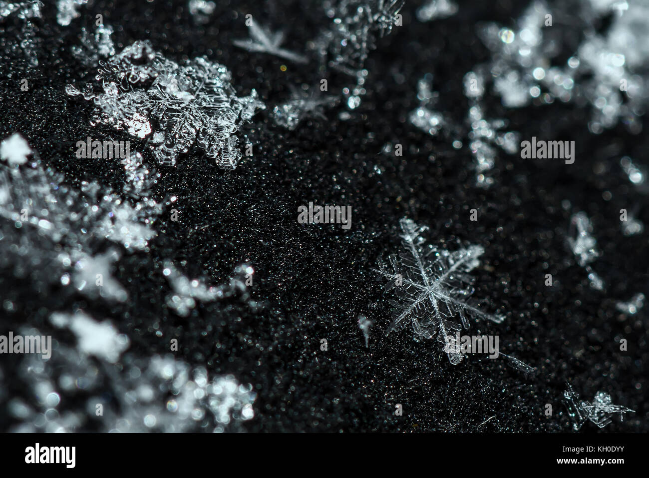 Snowflakes snow crystals hi-res stock photography and images - Alamy
