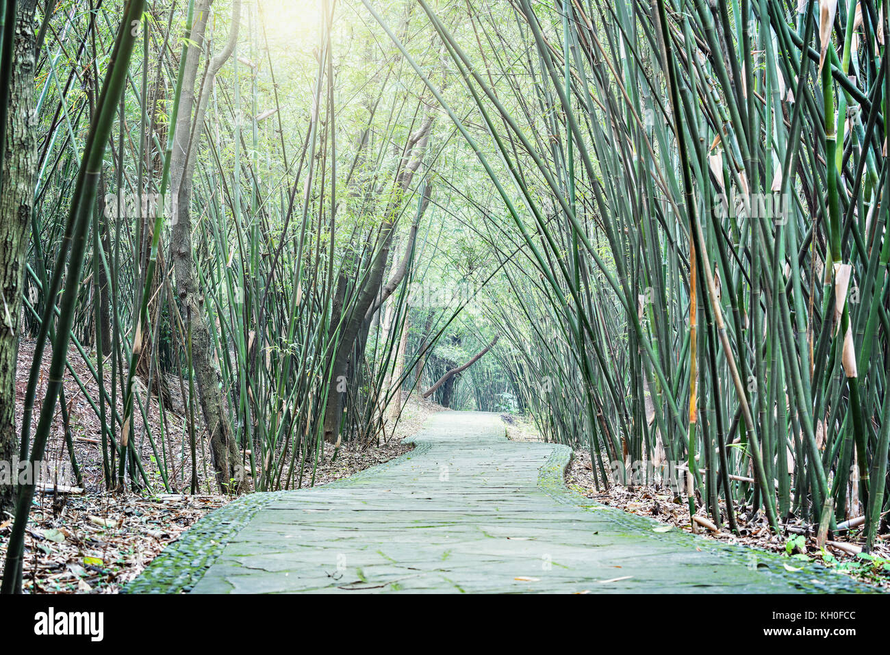 View of the small road in the city jungle park at day time. China Stock ...