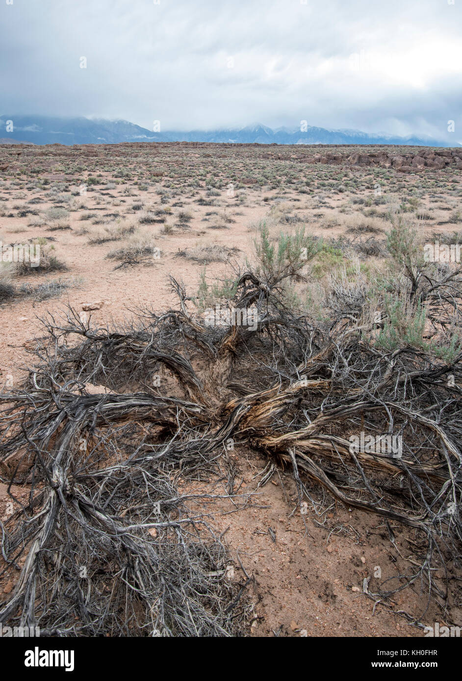 The Sierra Nevada Mountains stand over the dramatic Volcanic Tablelands ...