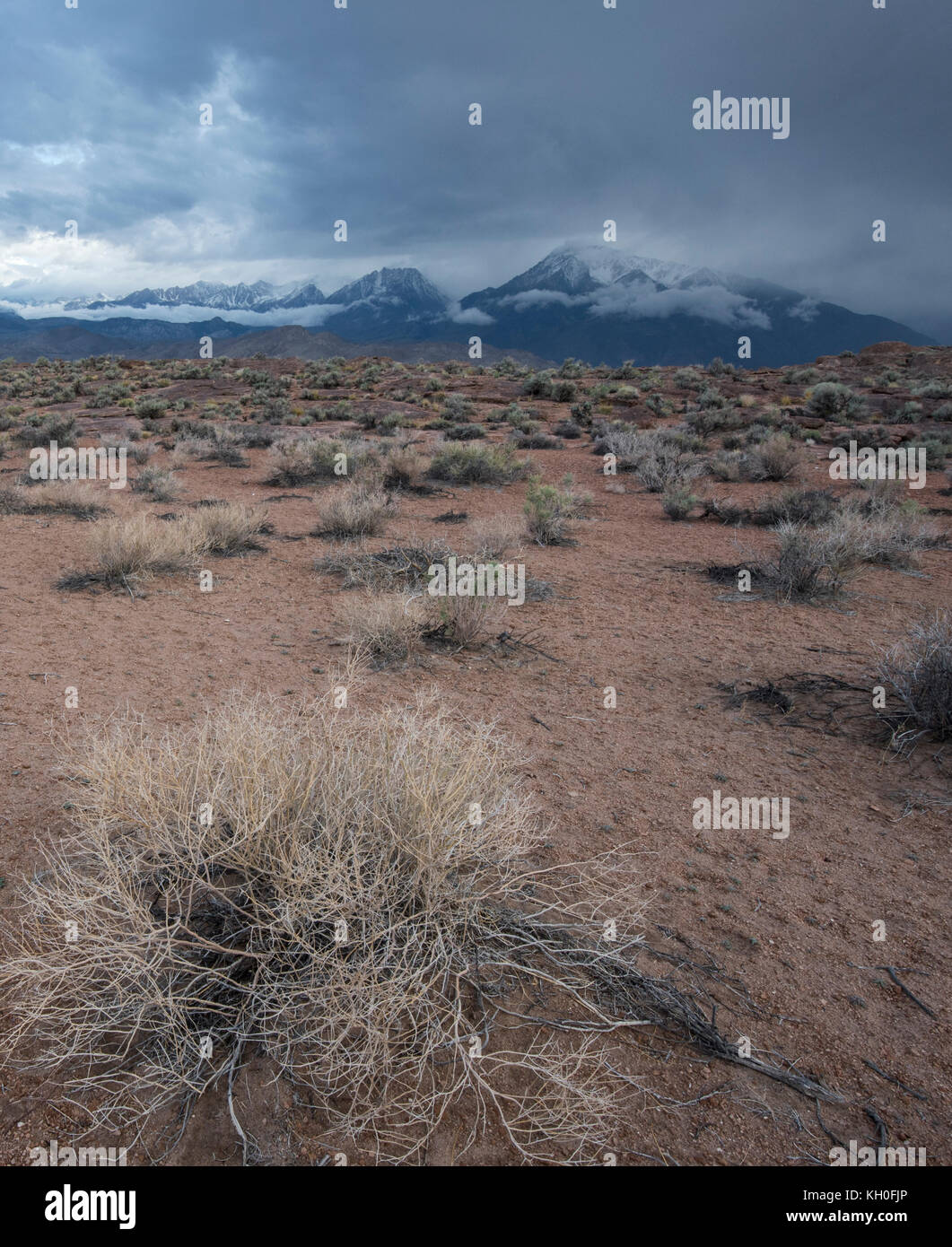The Sierra Nevada Mountains stand over the dramatic Volcanic Tablelands ...