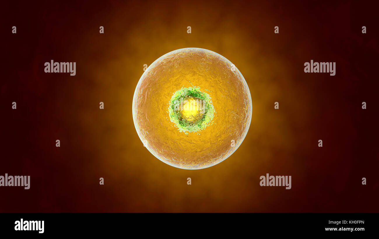 3D rendered illustration of a living cell under the microscope Stock ...