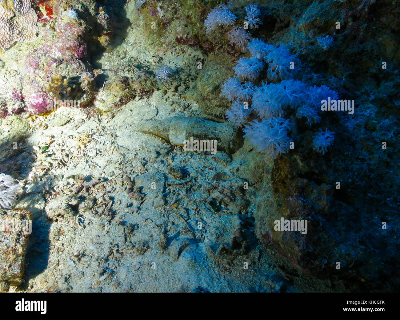 Coca Cola Bottle on seabed at the wreck site of the Salem Express ...