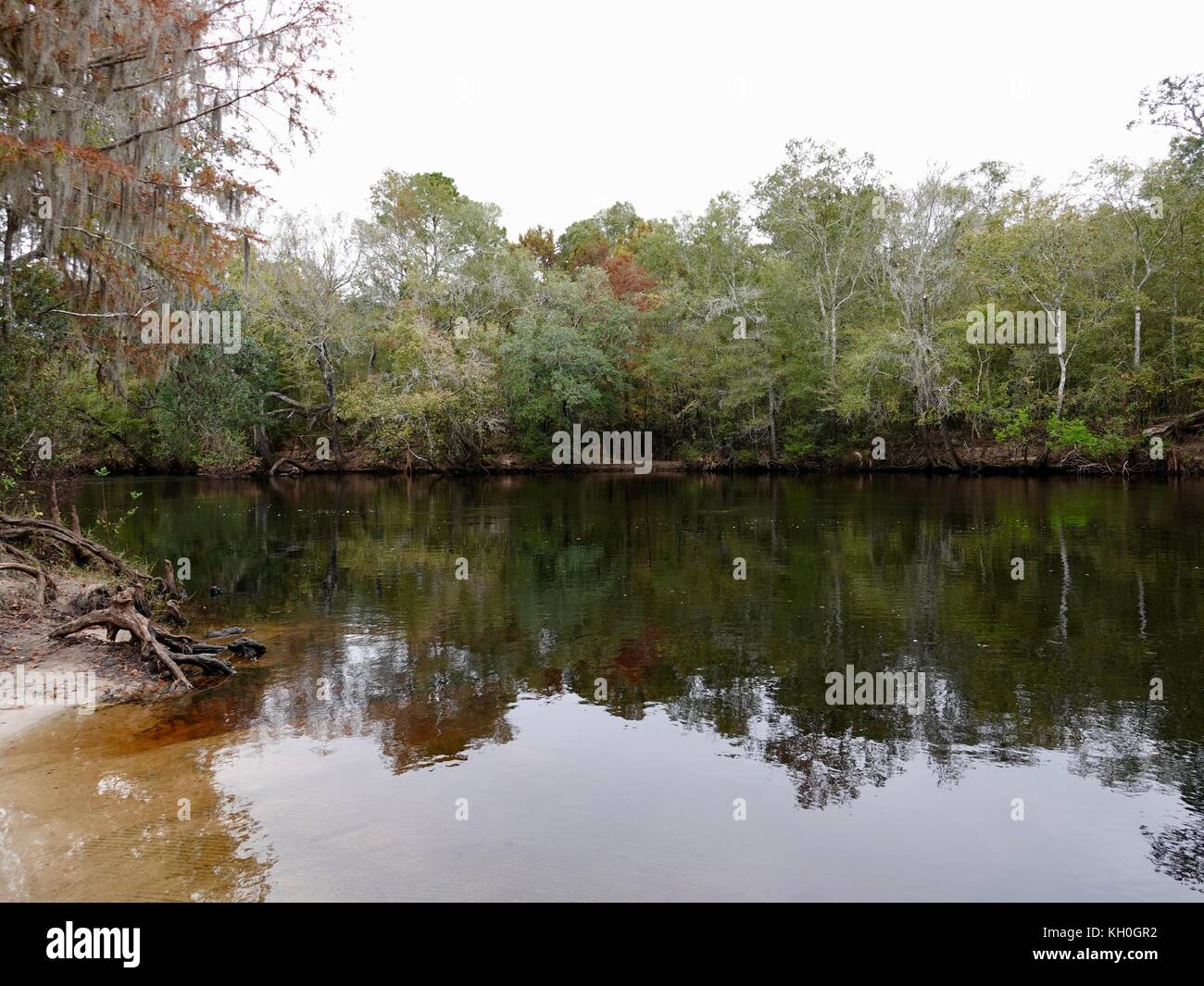High springs florida hi-res stock photography and images - Alamy
