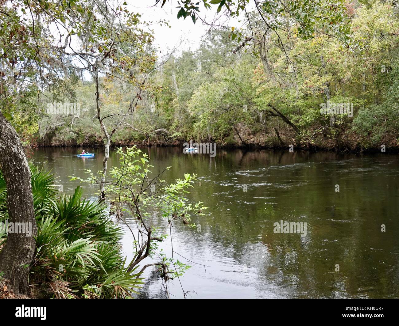 Kayaks with fishing gear on Santa Fe River, High Springs, Alachua ...