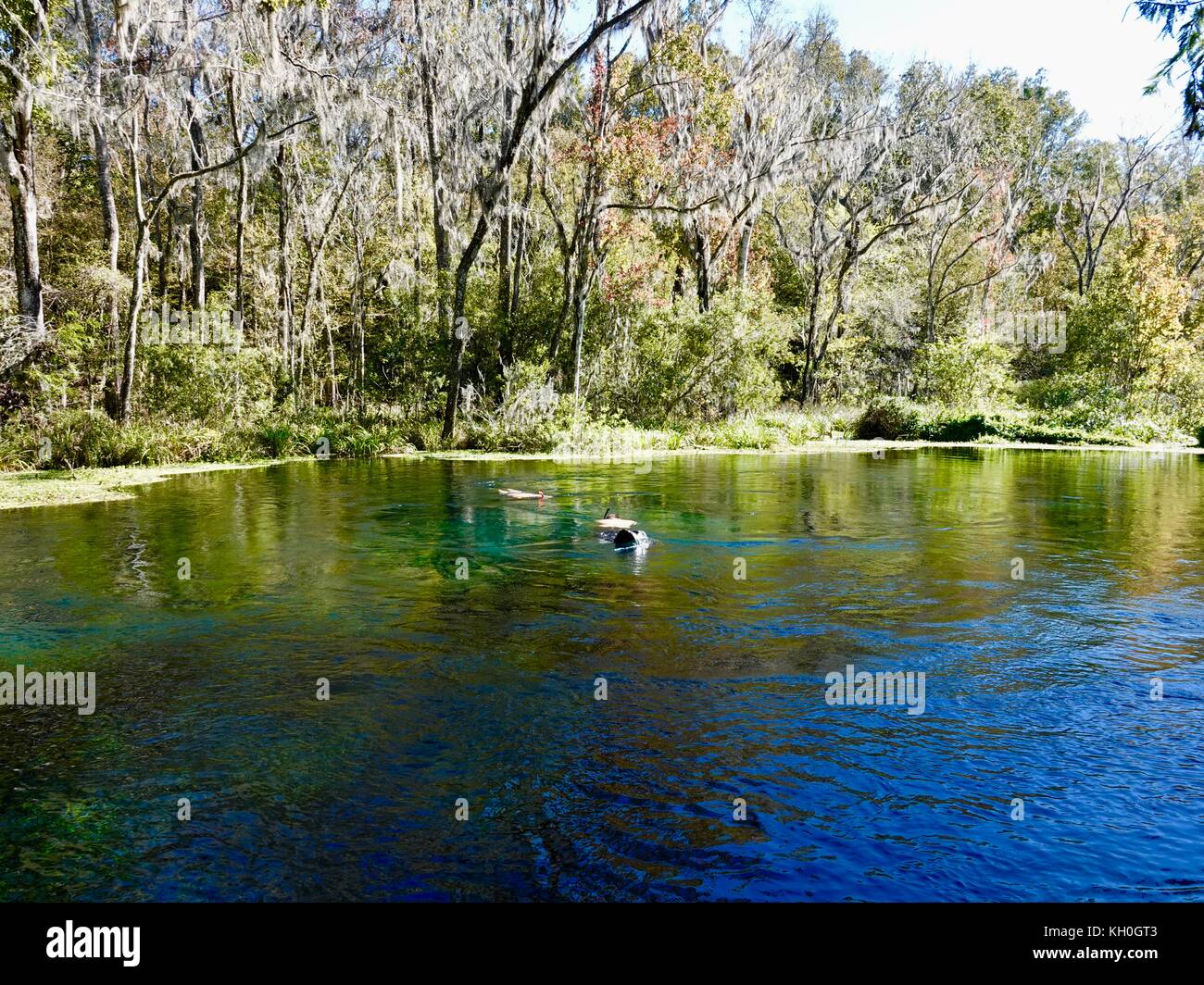 Swimmers snorkeling over blue hole, Ichetucknee Springs State Park ...