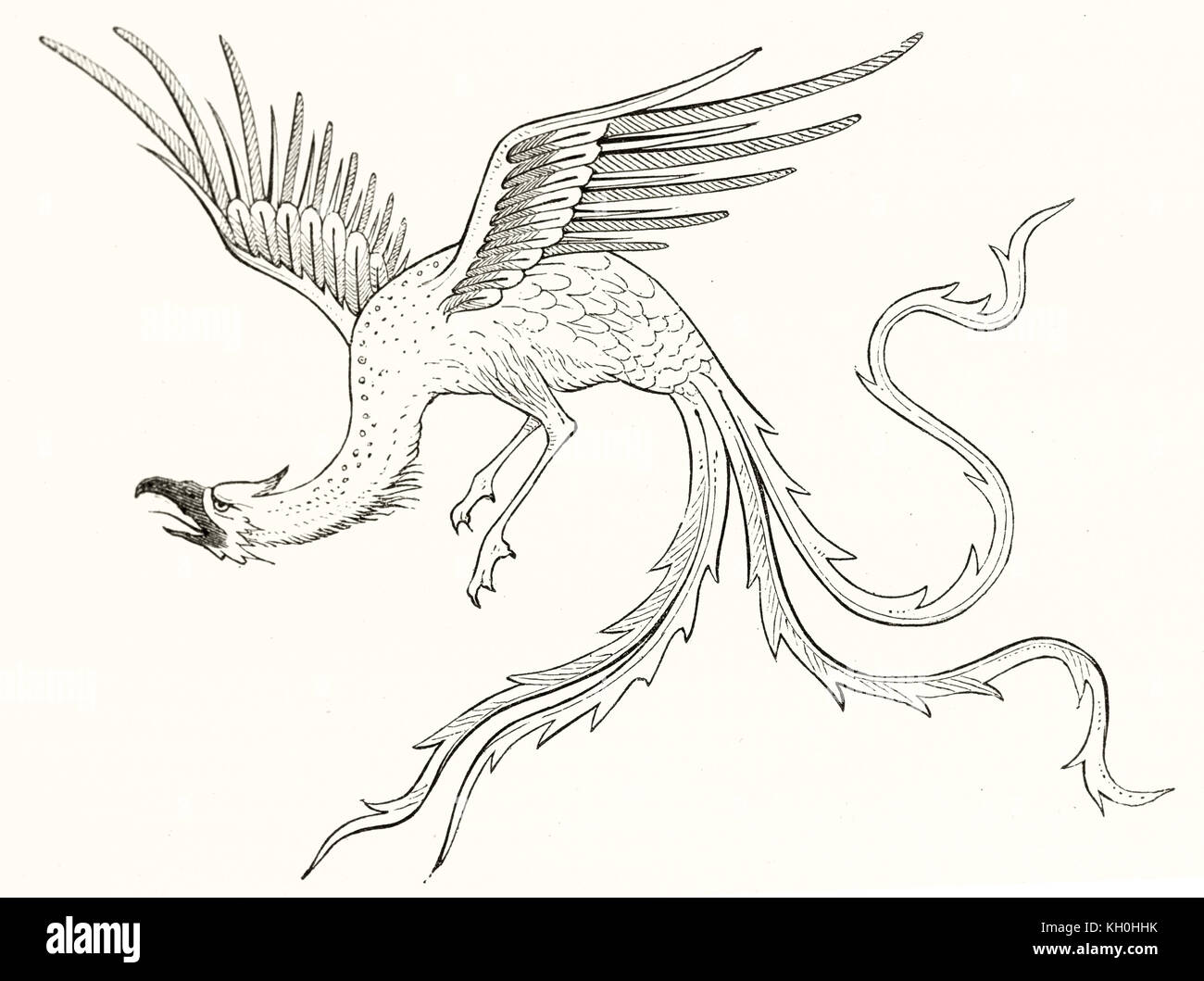Old illustration depicting a Simurgh, Iranian mythical bird. By ...