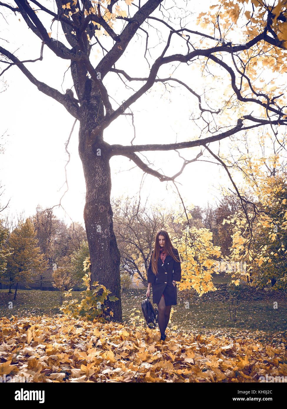 The girl is standing next to a huge oak tree. There are many fallen ...