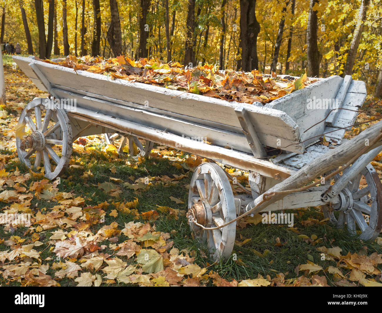 An old silver colored trolley stands on a carpet of fallen yellow ...