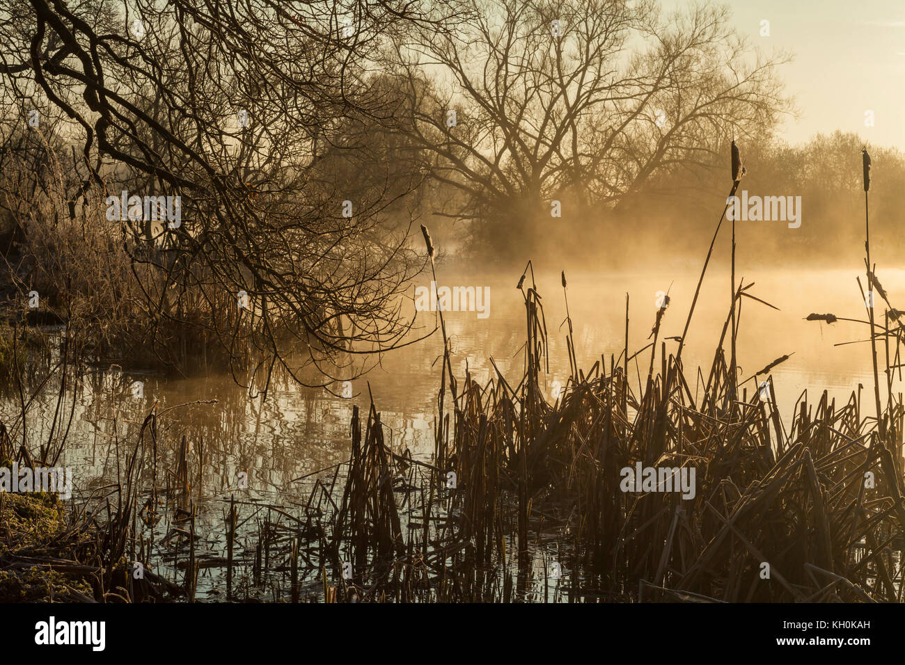 Winter landscape uk hi-res stock photography and images - Alamy