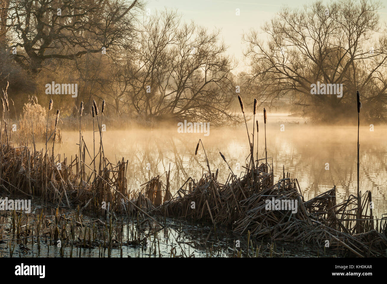 English countryside winter hi-res stock photography and images - Alamy
