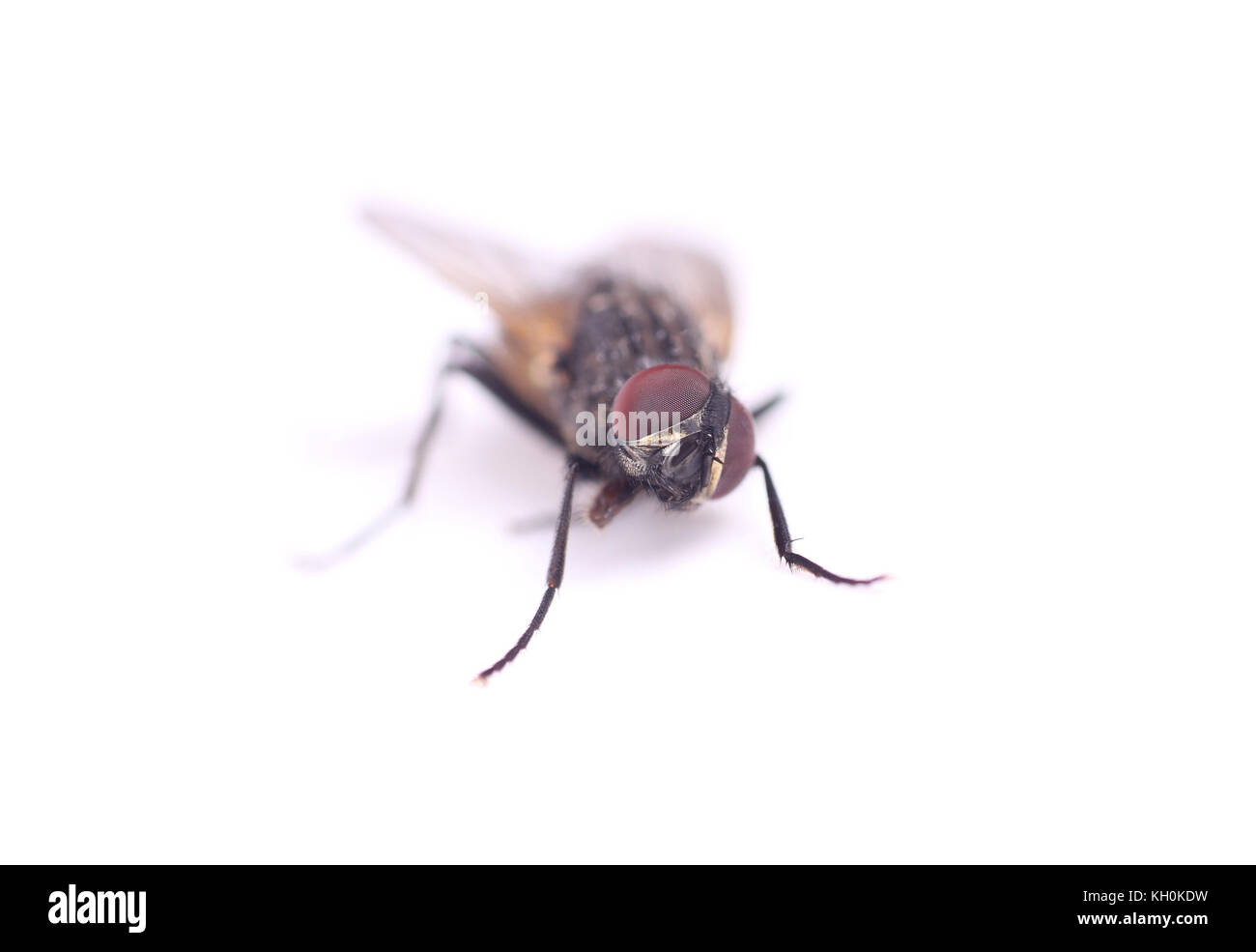 Bizarre house Cut Out Stock Images & Pictures - Alamy