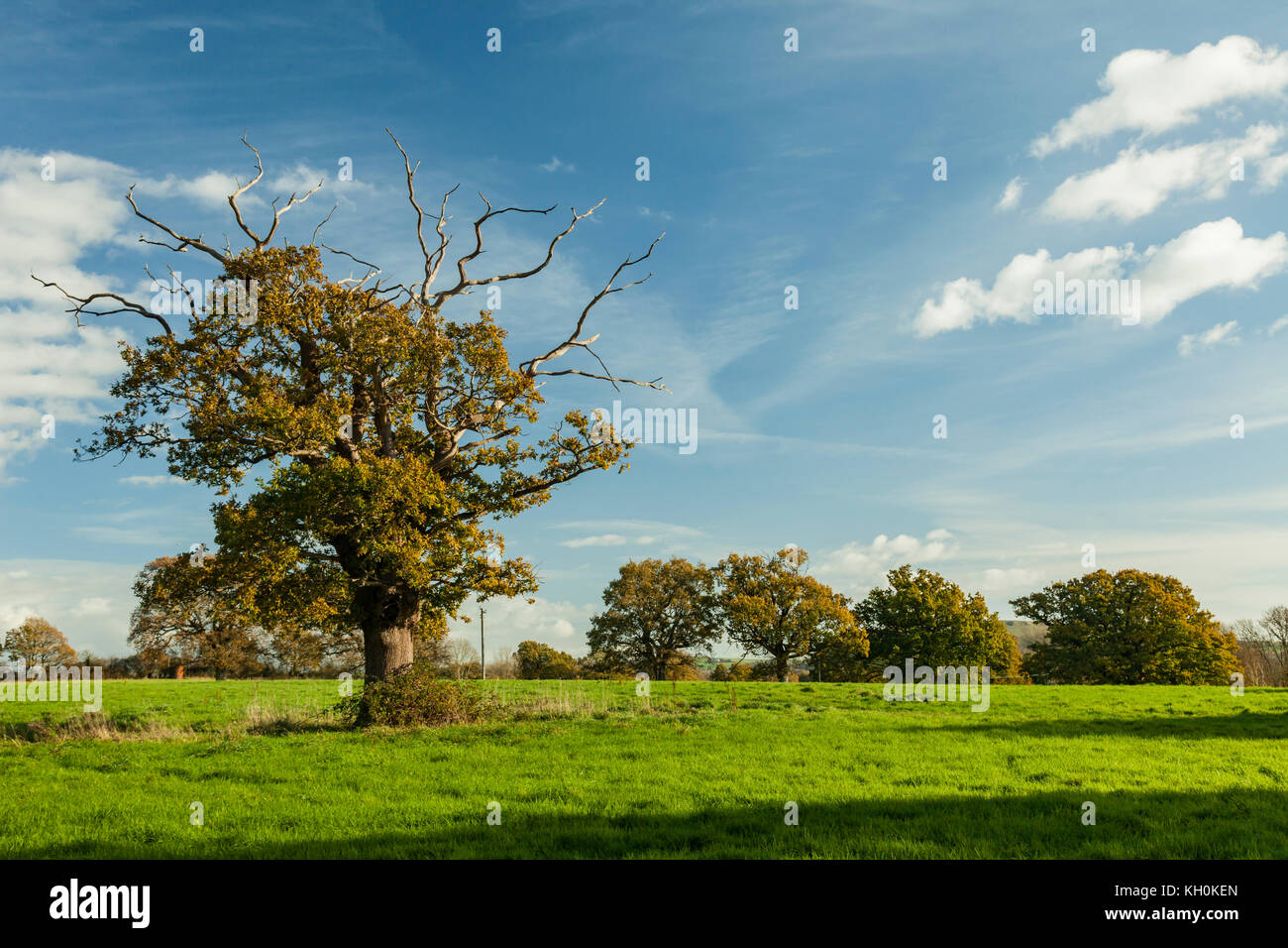 Uk english countryside hi-res stock photography and images - Alamy
