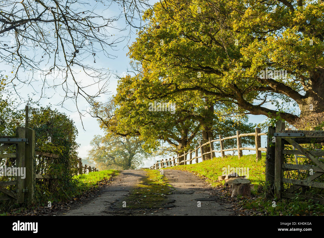 Beautiful english countryside in the autumn hi-res stock photography ...