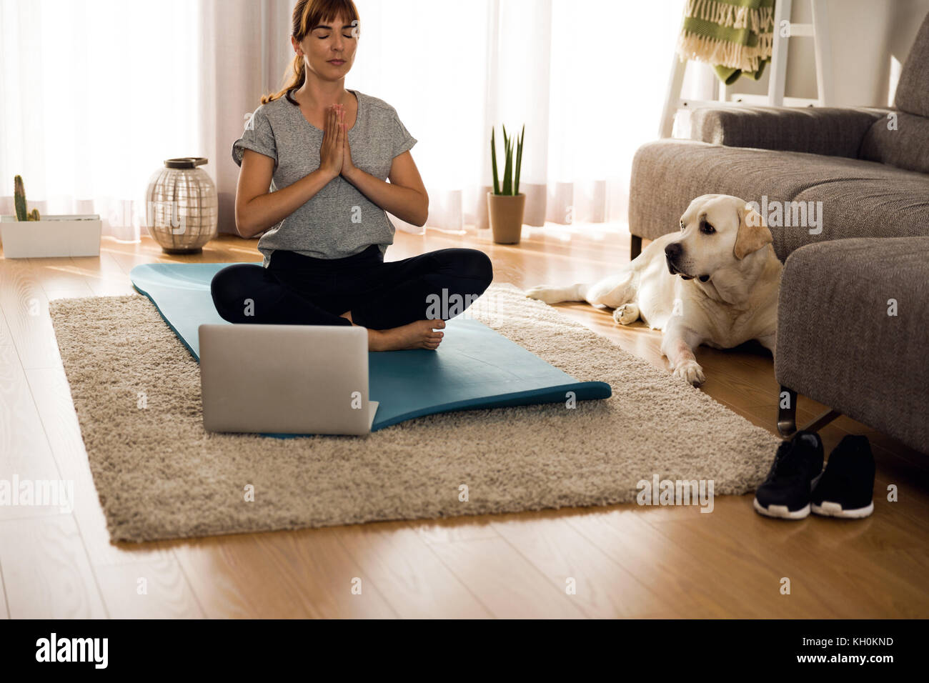 Shot of a woman doing exercise at home with her dog Stock Photo - Alamy