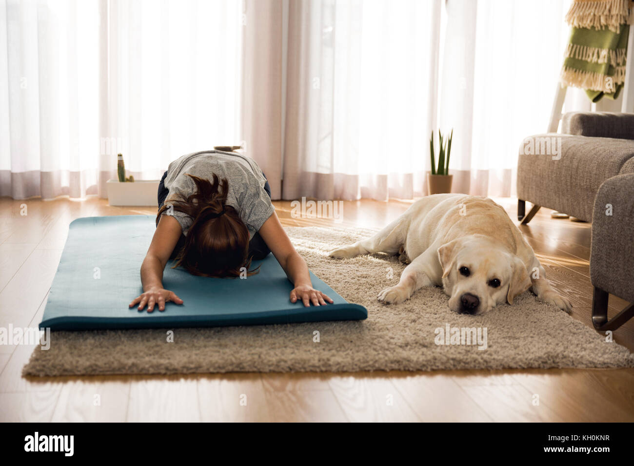 Shot of a woman doing exercise at home with her dog Stock Photo - Alamy