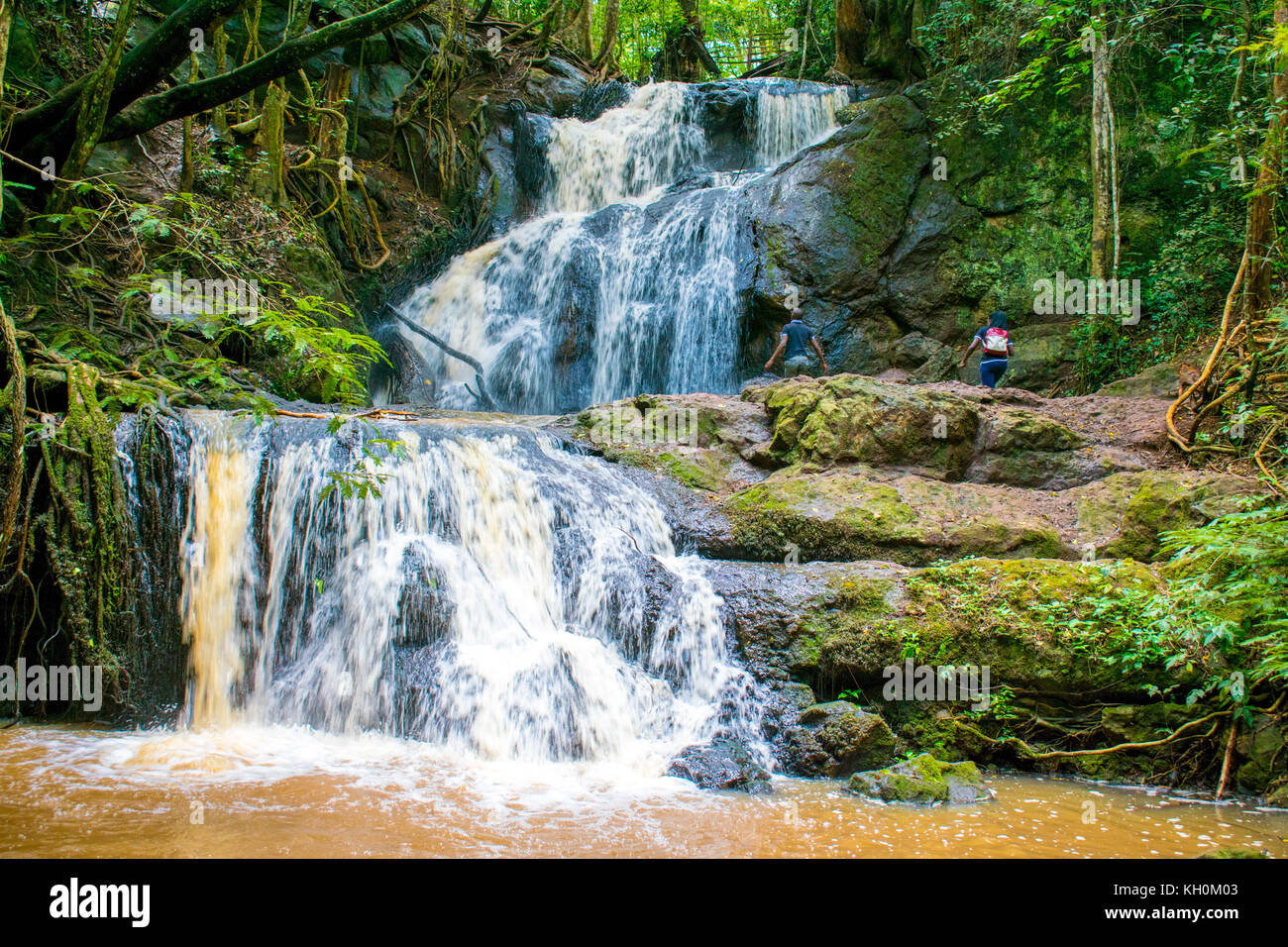 Kenya Mansions Karura