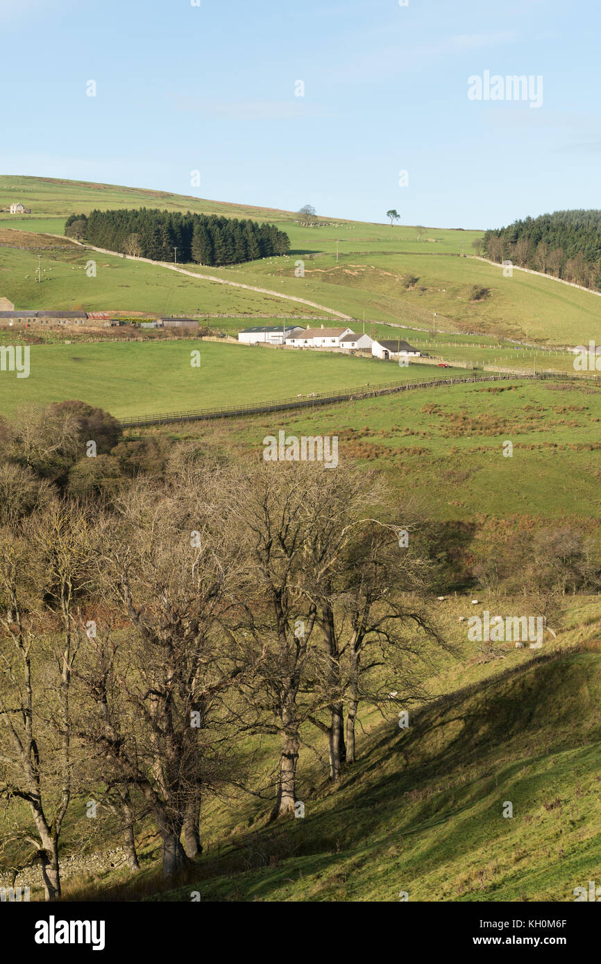 View of North Pennines countryside from the Weardale Way, near Rookhope ...
