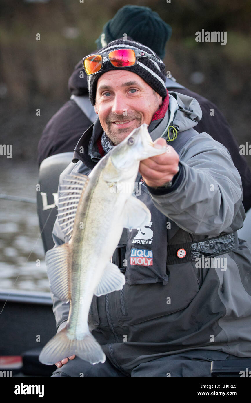 Fishing guide Andreas Panten presents a fresh caught zander during a ...