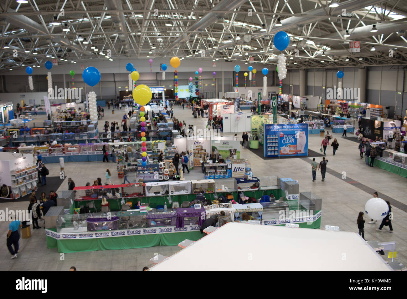 Champion cat show hi-res stock photography and images - Alamy