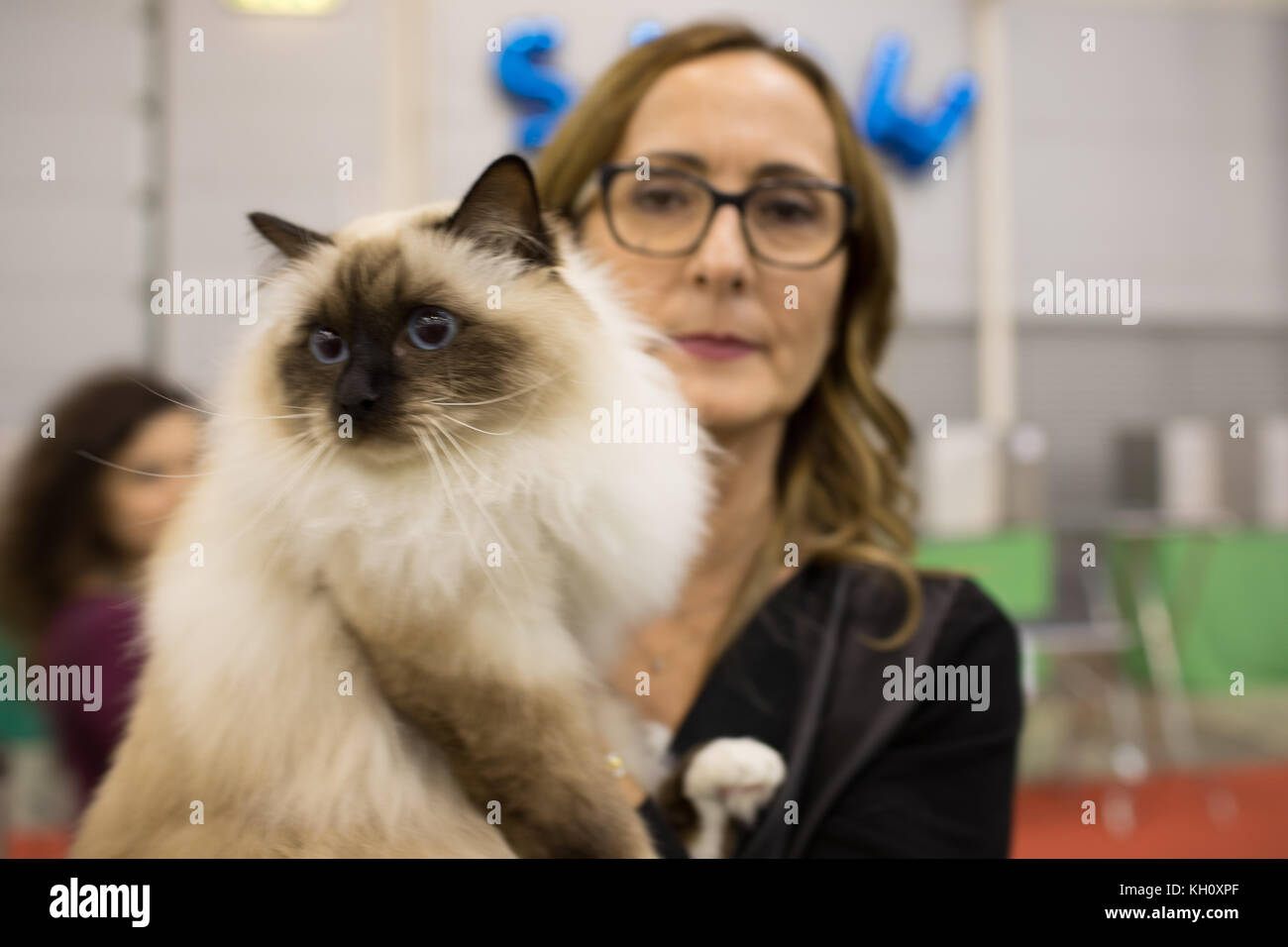 ROME, ITALY - NOVEMBER 11, 2017: The Super Cat Show, one of the most ...
