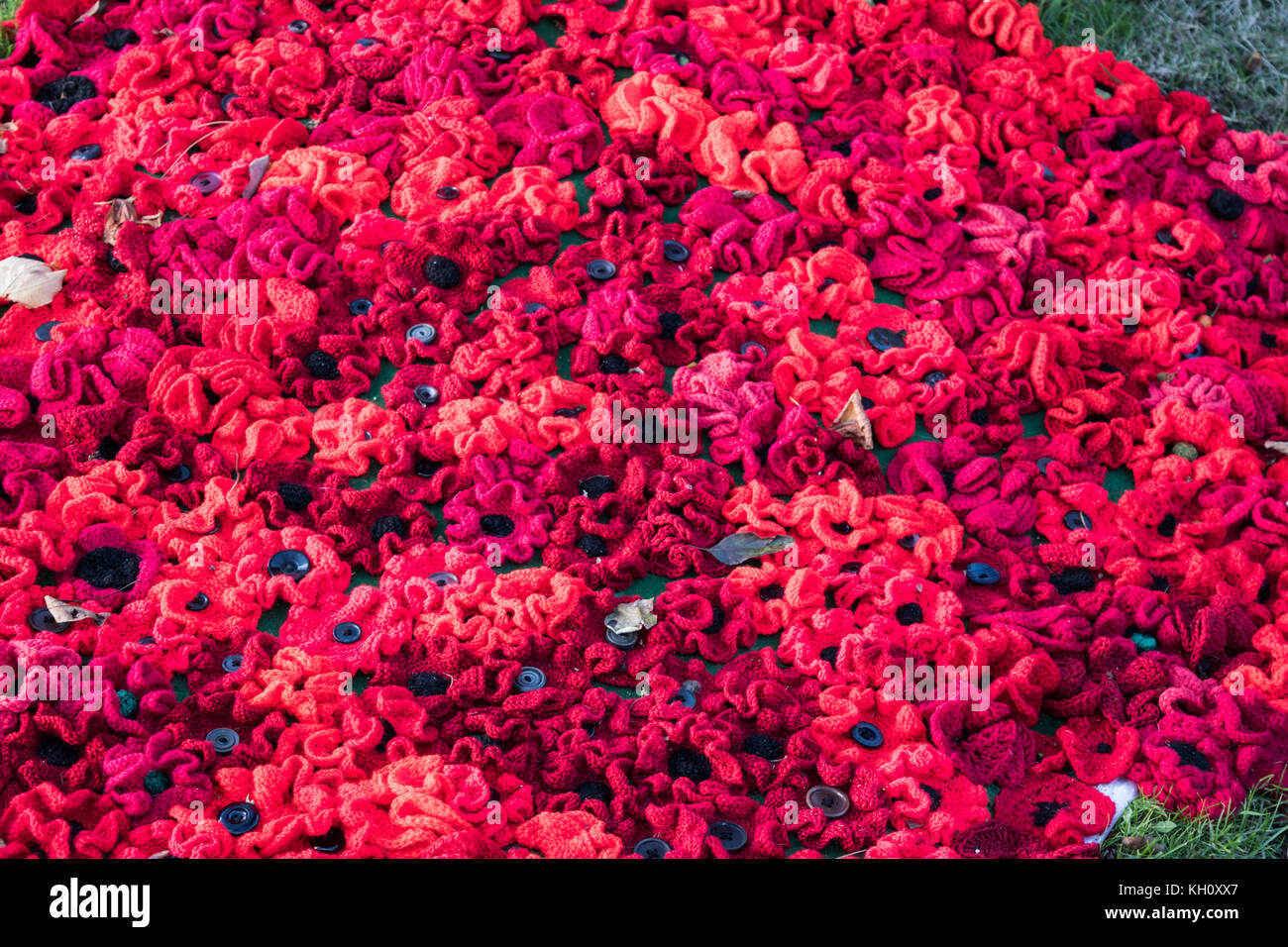 All Saints Church Heath, Derbyshire - Handknitted poppy display in the ...