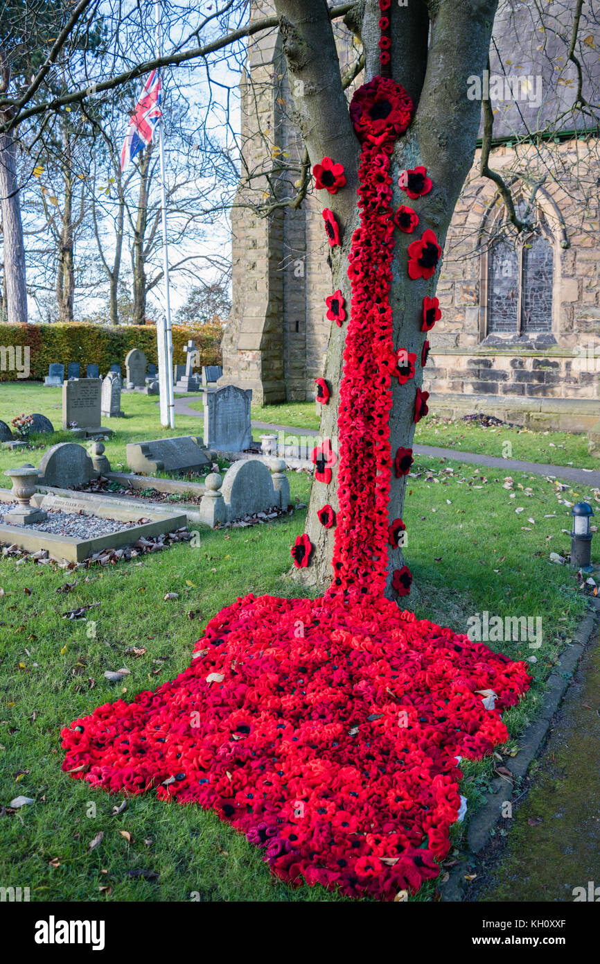 Knitted poppy display hi-res stock photography and images - Alamy