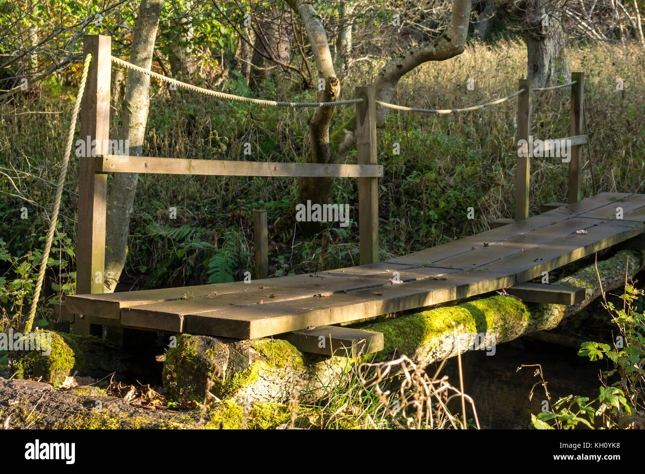 Vogrie Country Park High Resolution Stock Photography and Images - Alamy