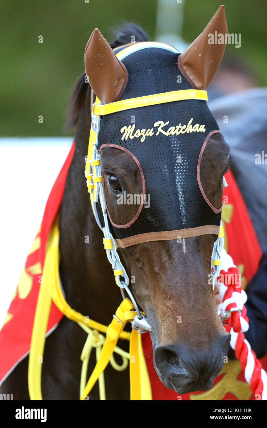 Katchan hi-res stock photography and images - Alamy