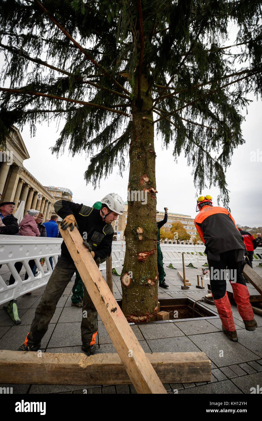 Erecting A Christmas Tree High Resolution Stock Photography and Images ...