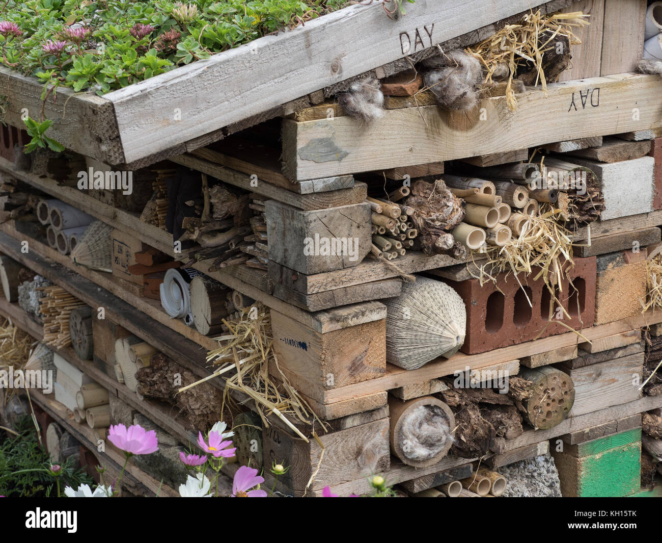 Enviroment friendly house hi-res stock photography and images - Alamy