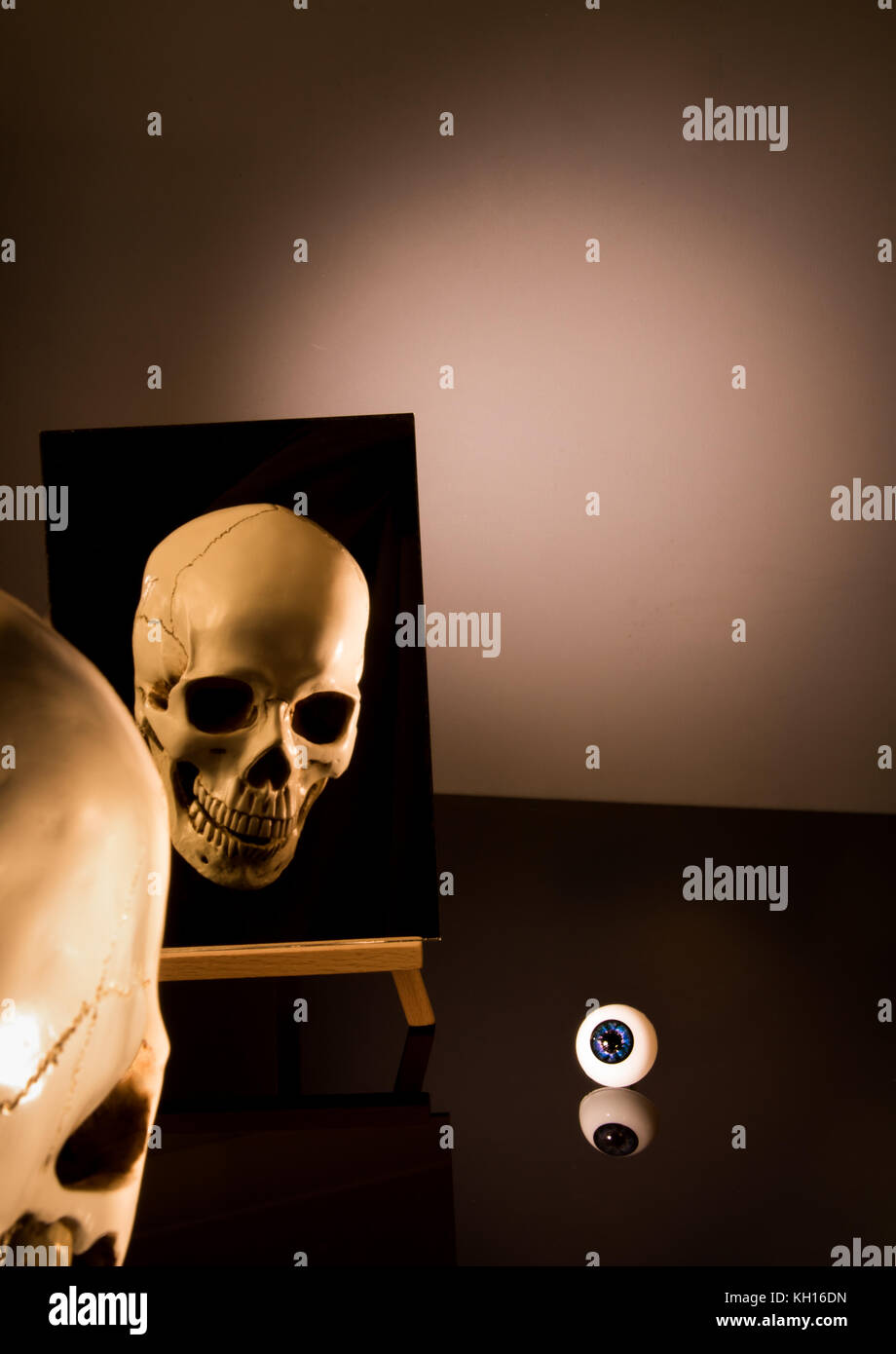 Human character vector logo hi-res stock photography and images - Alamy