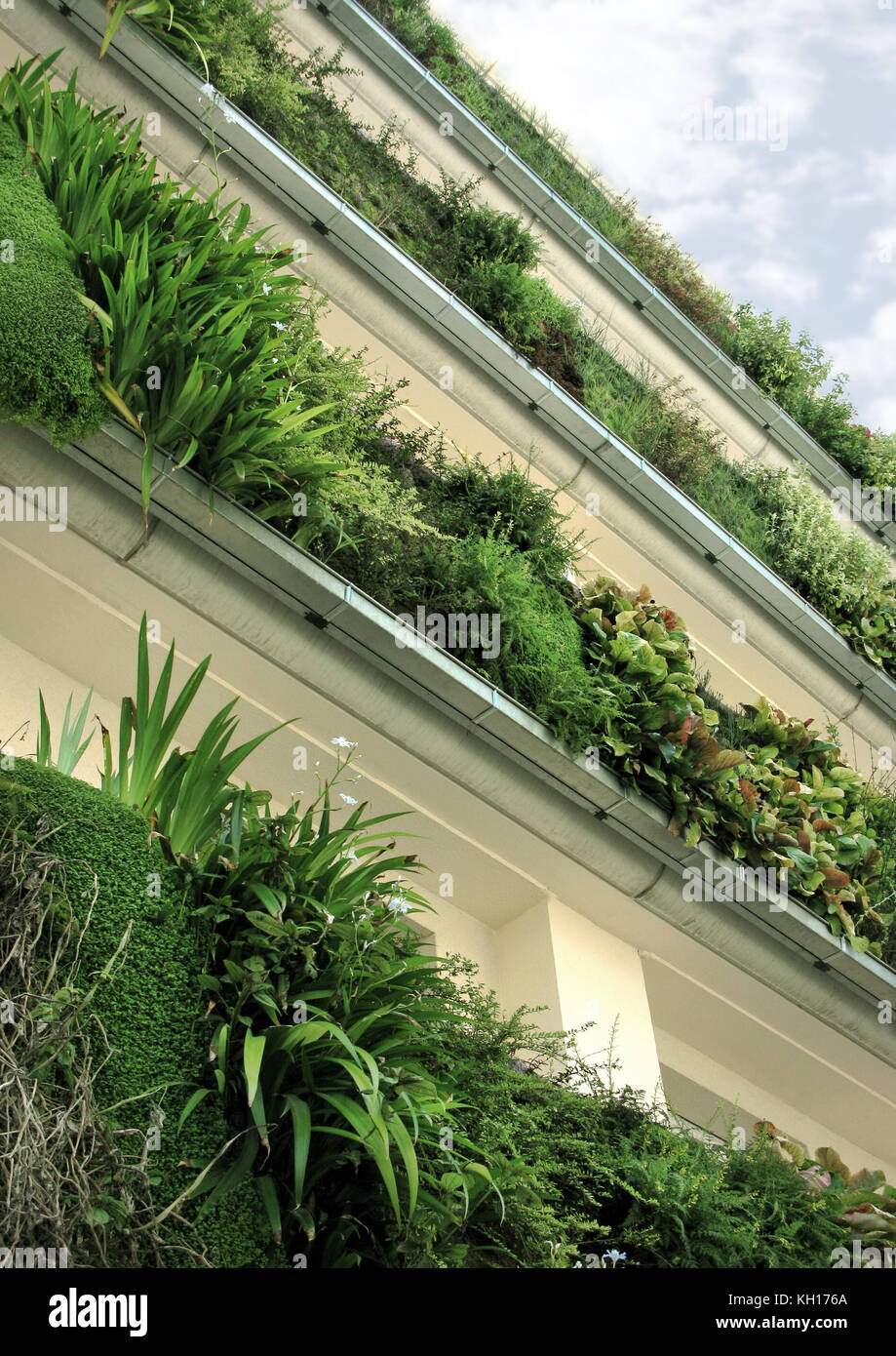 Green plants on balconies of a building facade Stock Photo - Alamy