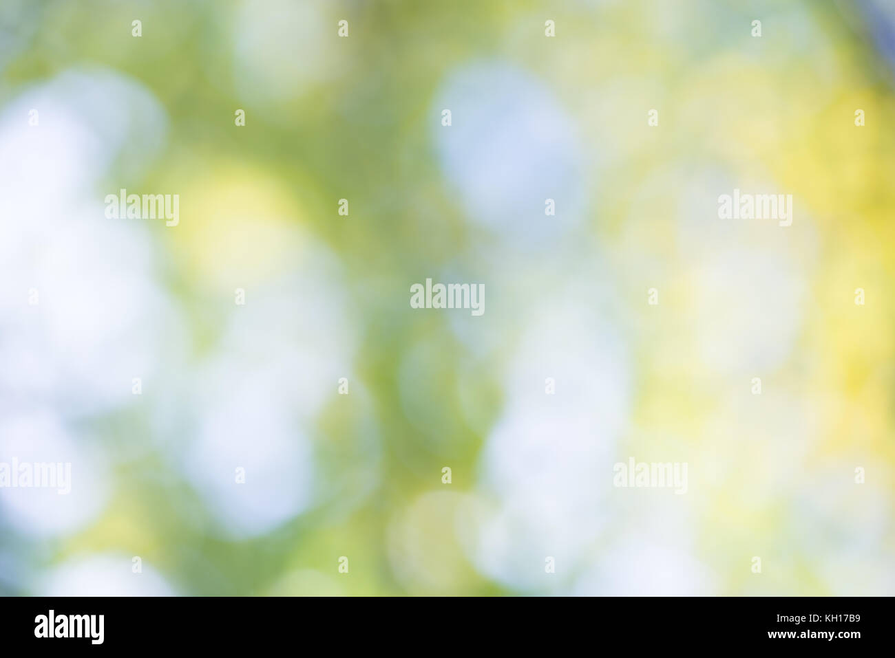 Leaf Nature Frame Environment Stock Photo - Alamy
