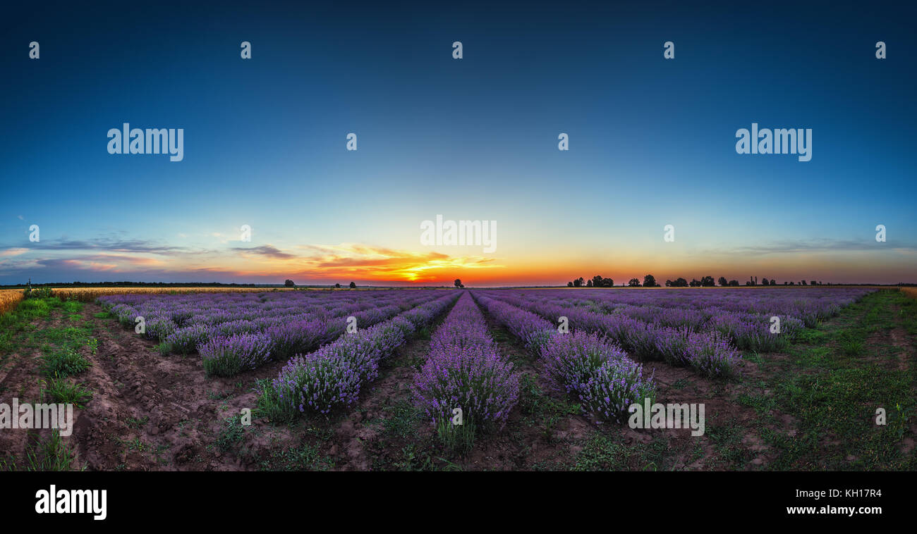 Beautiful sunset and sunrise wallpapers hi-res stock photography and ...