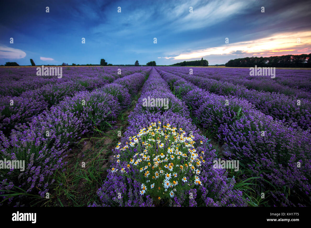 Beautiful sunset and sunrise wallpapers hi-res stock photography and ...