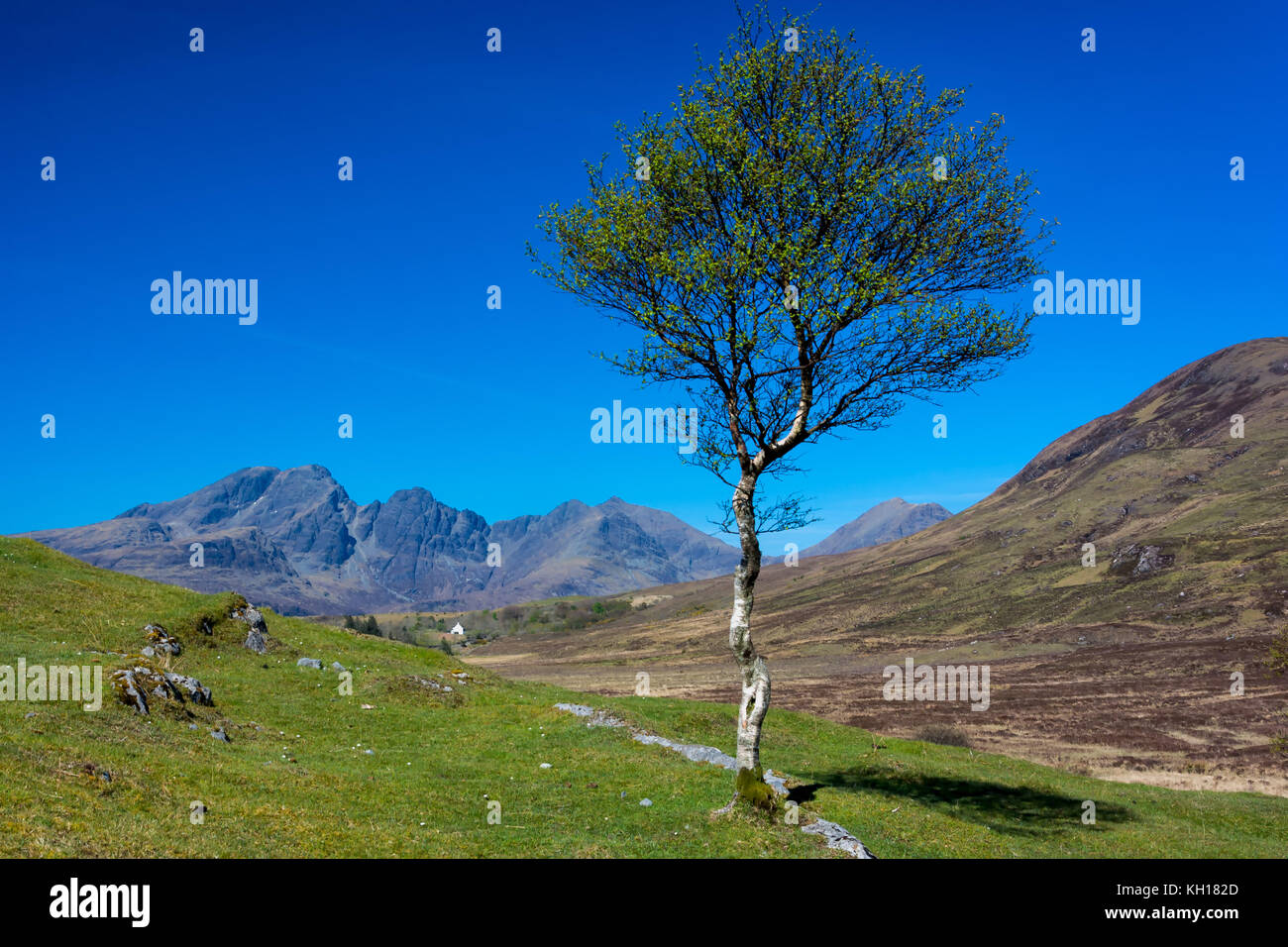 Torrin, Isle of Skye, Scotland, United Kingdom Stock Photo - Alamy