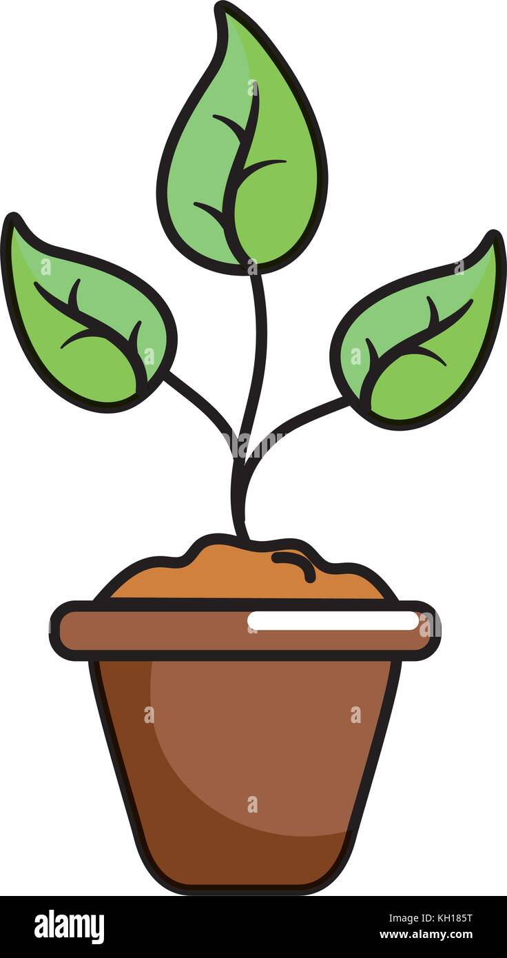 Isolated plant design Stock Vector Image & Art - Alamy