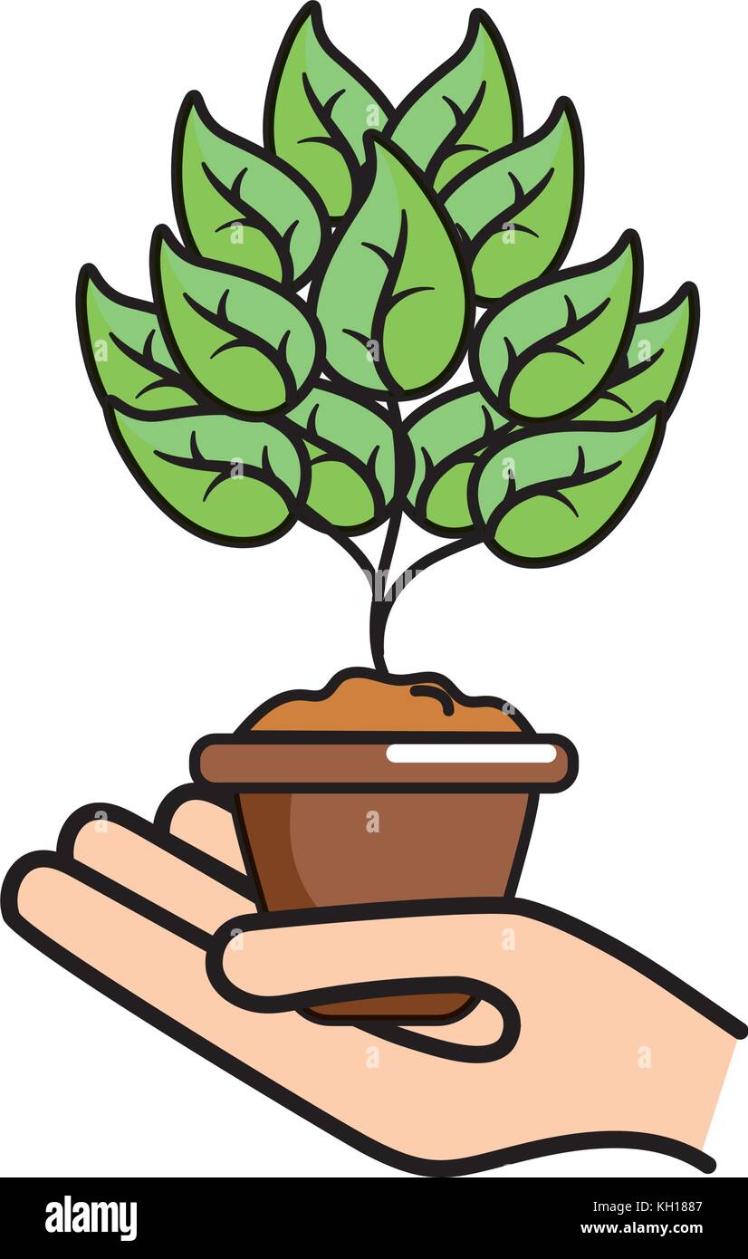 Isolated plant design Stock Vector Image & Art - Alamy