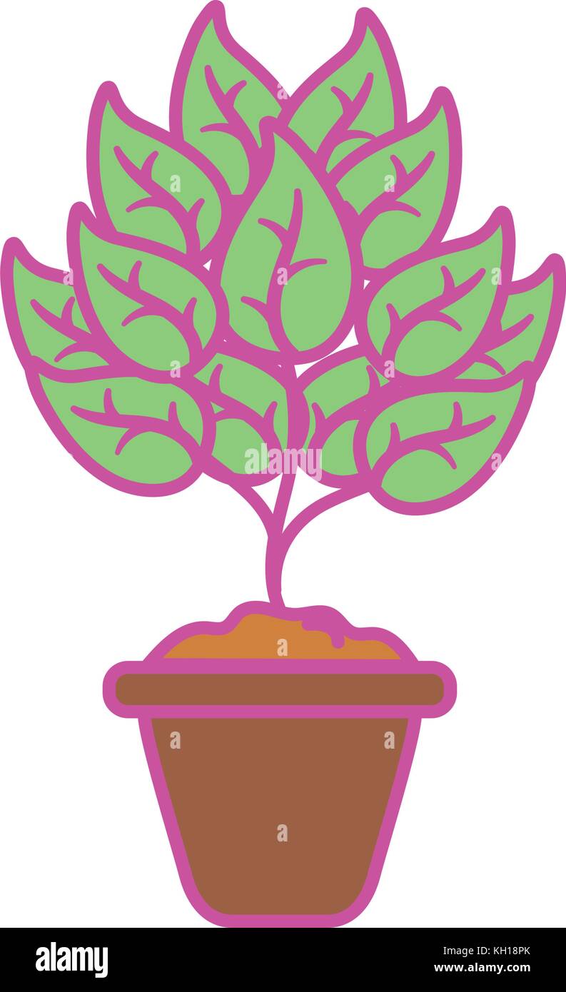 Isolated plant design Stock Vector Image & Art - Alamy